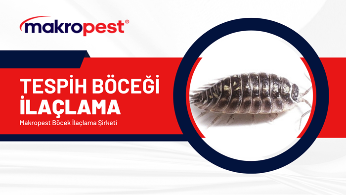 Tesbih Böceği İlaçlama | Makropest Böcek İlaçlama Şirketi